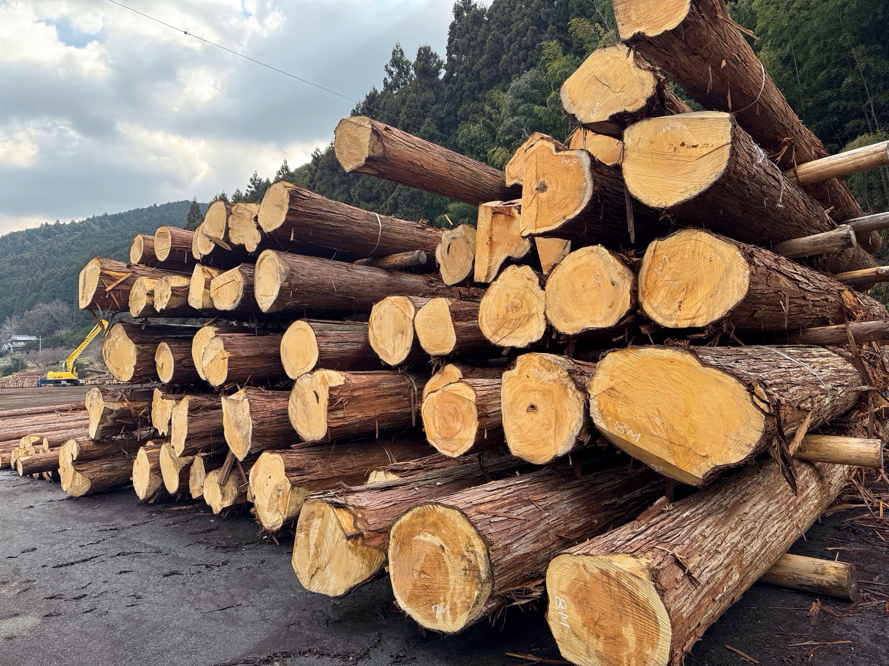 Hinoki cypress lumber wood│Japanese Cutting Board – Hanabusa Hinoki ...